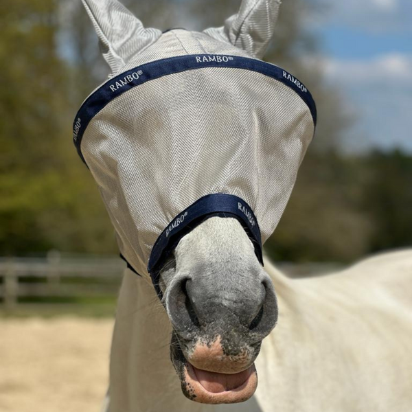 Lunettes Masques Protections oculaires contre l'uvéite du cheval