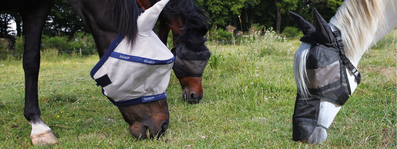 Lunettes Masques Protections oculaires contre l'uvéite du cheval