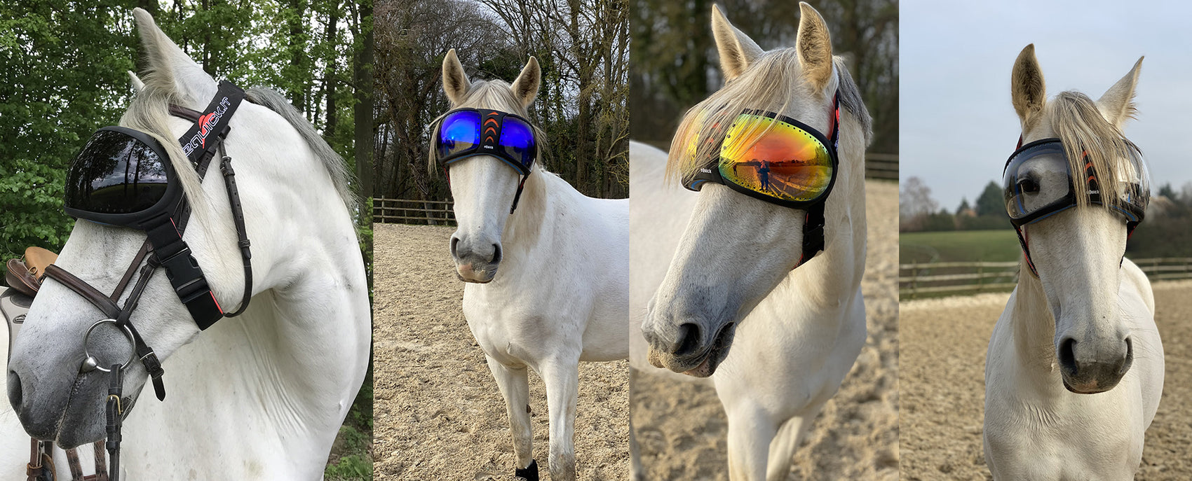 Lunettes Masques Protections oculaires contre l'uvéite du cheval