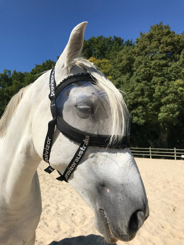 Masques de convalescence, cache oeil cheval, poney et shetland - Equidiva